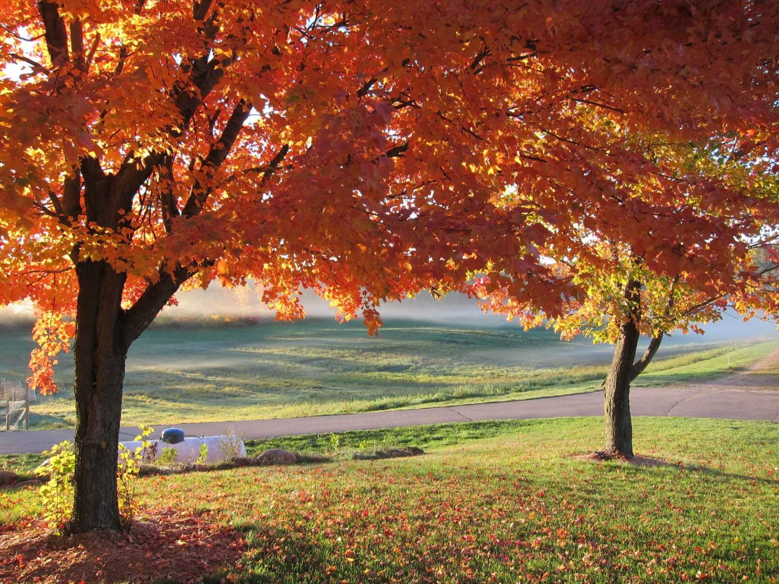 Nami Moon Farms - Custer, WI