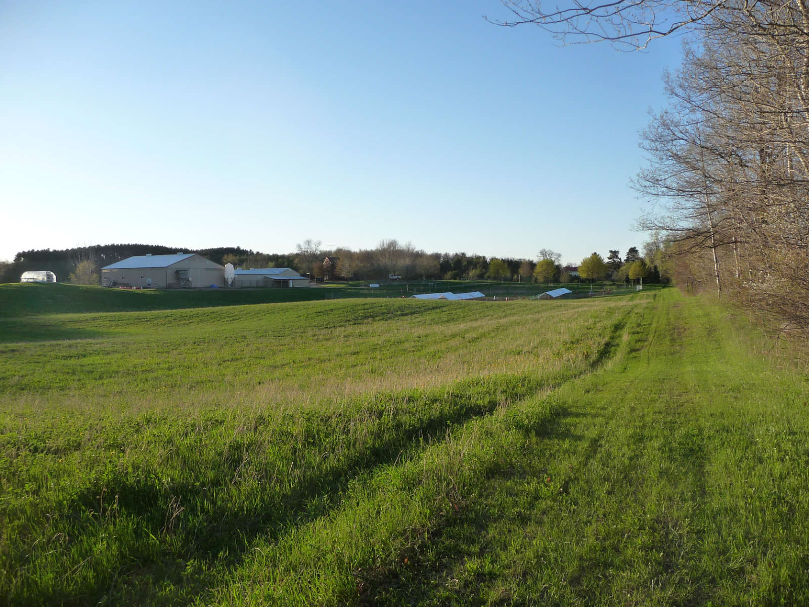 About Us - Nami Moon Farms - Custer, WI